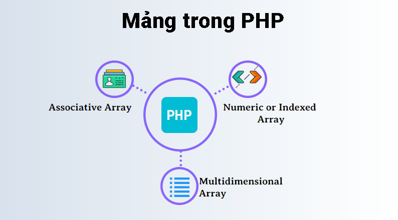Middle, Senior Level Là Gì? Phân Biệt Các Cấp Bậc Trong IT Chi Tiết